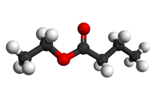 Estrar - Naturvetenskap.se